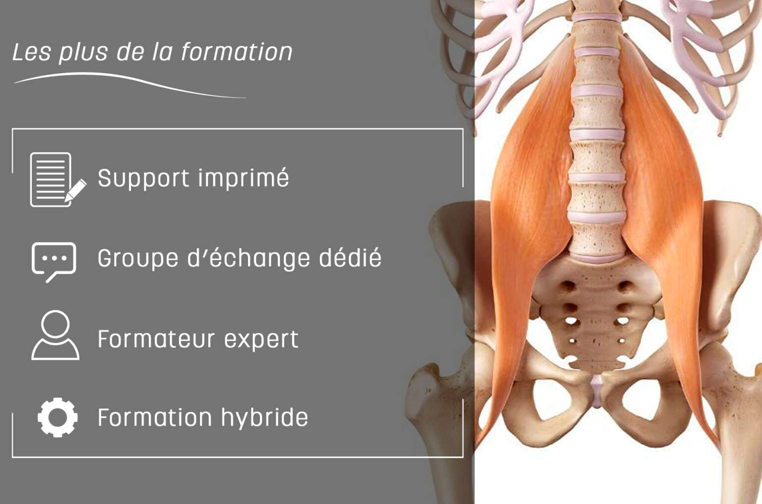 Du stress au lumbago : Le rôle méconnu du psoas - Kiné Formations