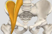 Ilio-Psoas : Abord thérapeutique selon la technique "Jones Strain ...